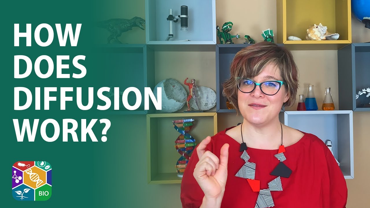 Visible Biology | Lesson 5: How Does Diffusion Work?