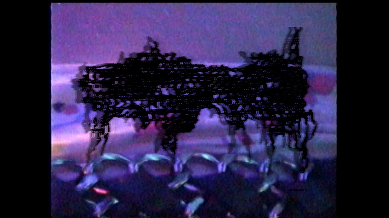 PURITY CONTROL - LIVE @ BARELY BREATHING FEST IV 8/16/25