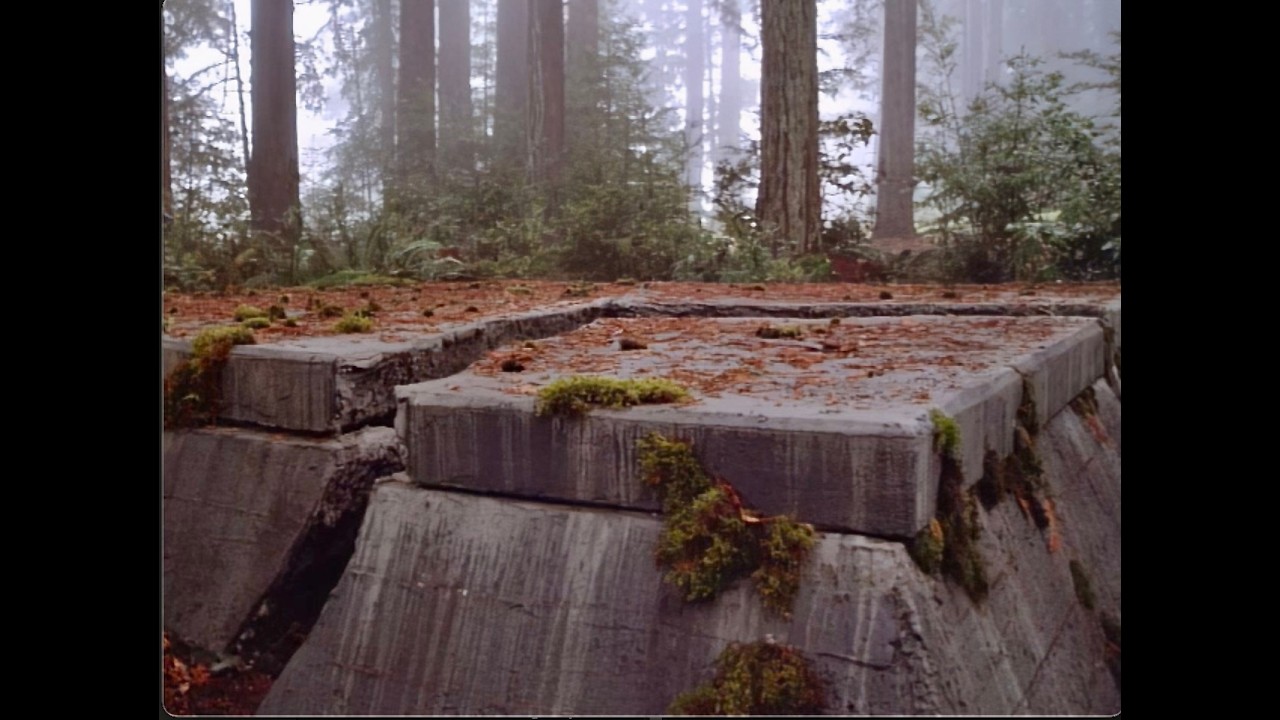 IMPULSE [1984]