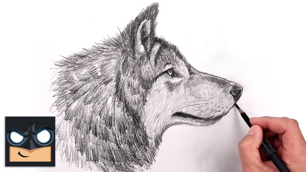 How To Draw a Wolf for Beginners | Beginner Pencil Tutorial (Step-by-Step)