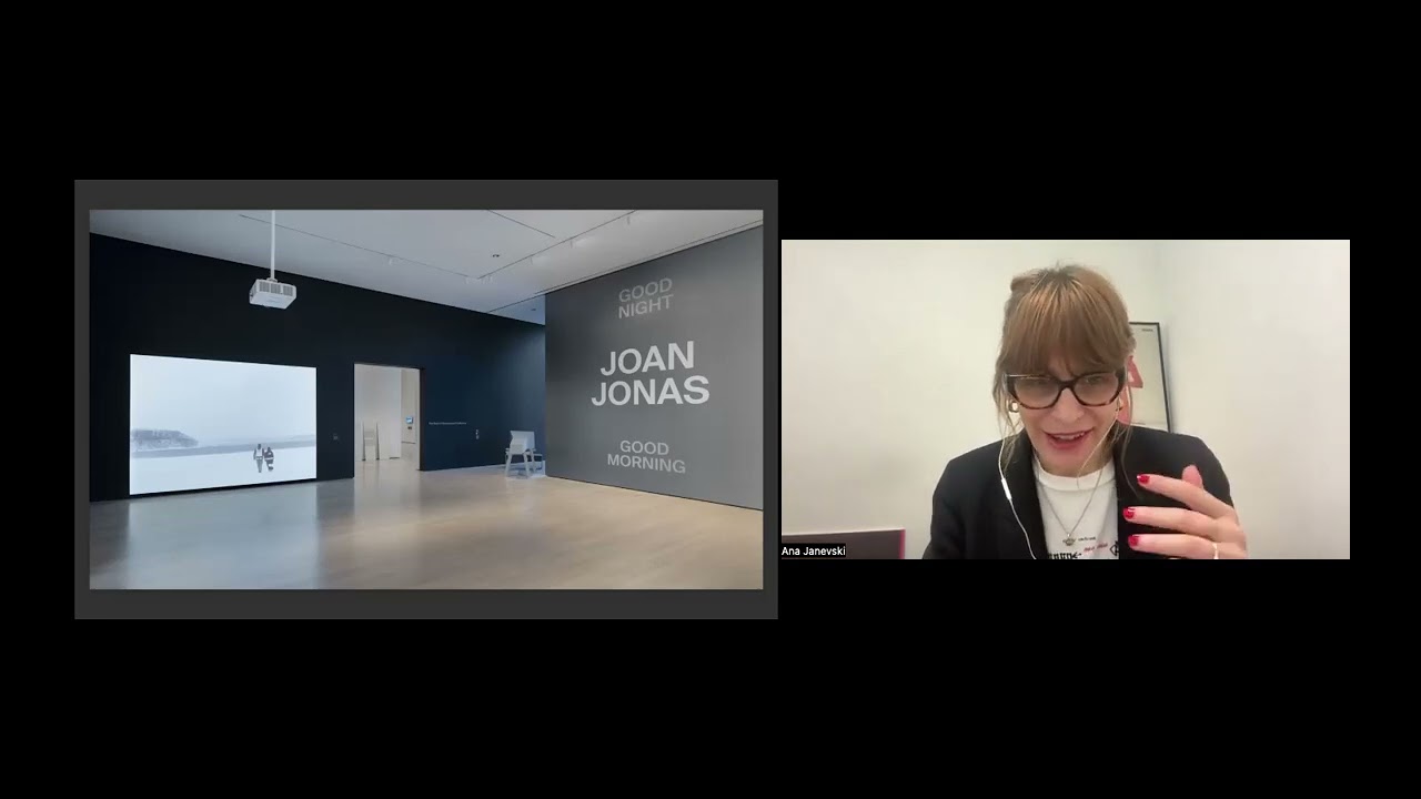 NSE #1071 |  RoseLee Goldberg, Ana Janevski, Zoe Leonard, and Barry Schwabsky on Joan Jonas