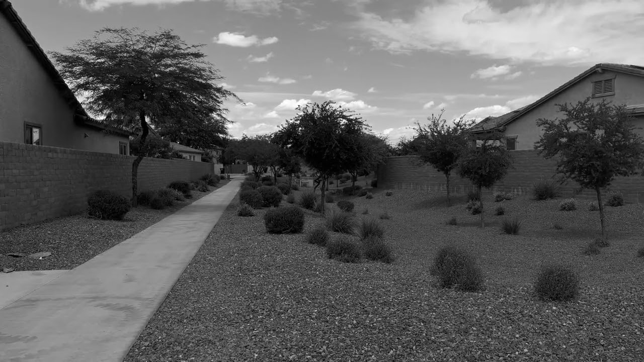 Lesson 13 Assignment