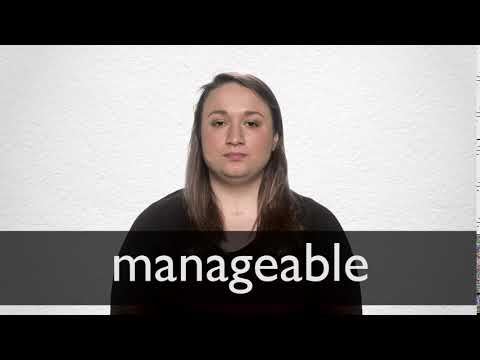 How to pronounce MANAGEABLE in British English