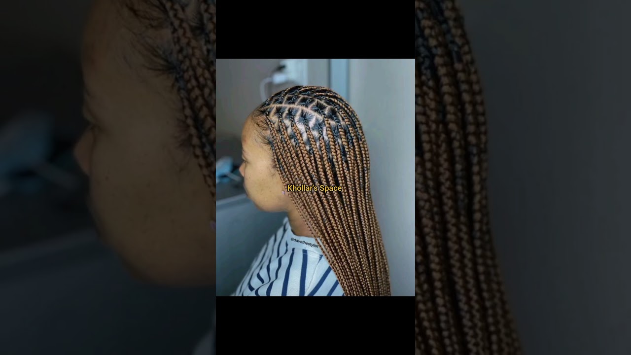 Elegant knotless box braids for Ladies #braids #knotlessbraids #hairstyles #twist #haircare
