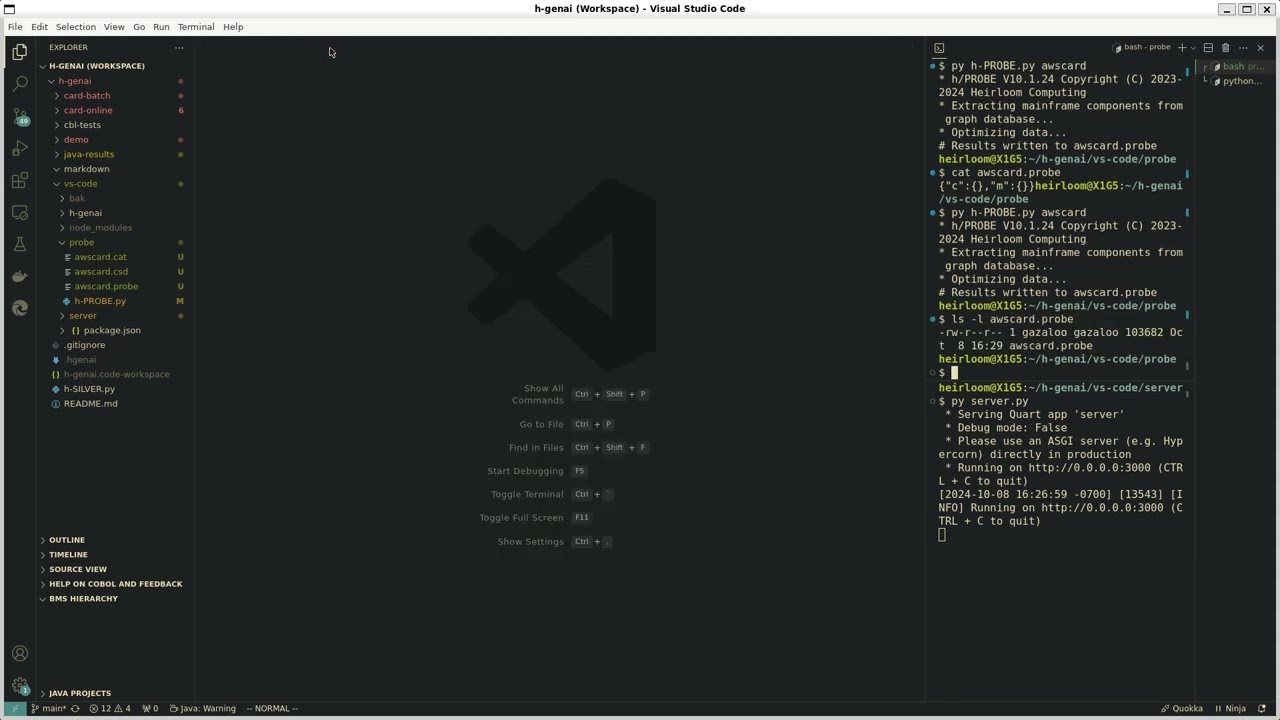 Heirloom® h/GENAI™—Documenting mainframe systems.