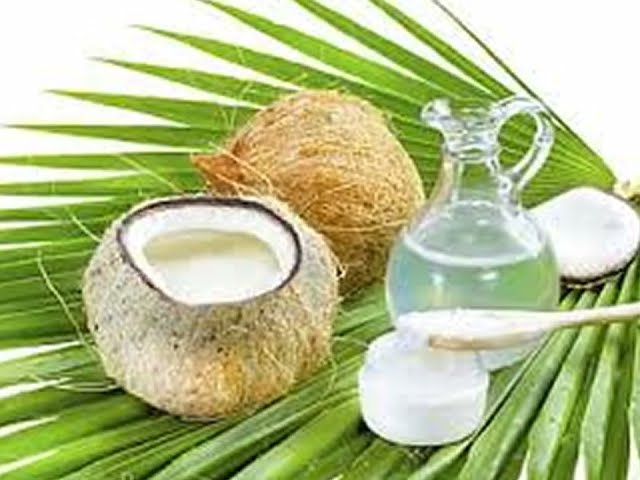 Coconut Oil - Filtered Coconut Oil Manufacturer from Noida