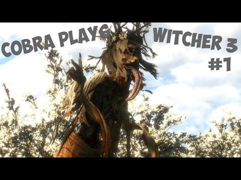 Steam Community :: Video :: Cobra Plays Witcher 3 #1 Noon Wraith Contract