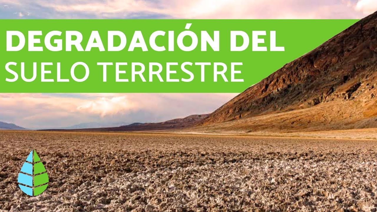 Land degradation - Causes and consequences