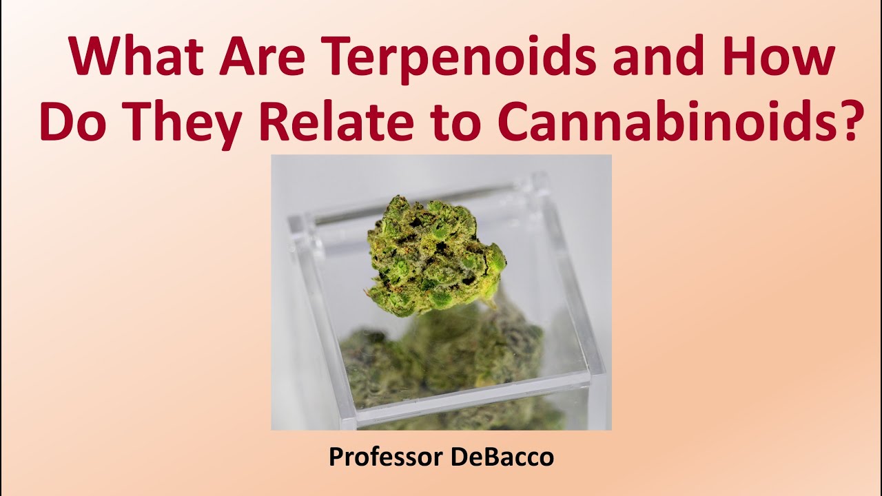 What Are Terpenoids and How Do They Relate to Cannabinoids