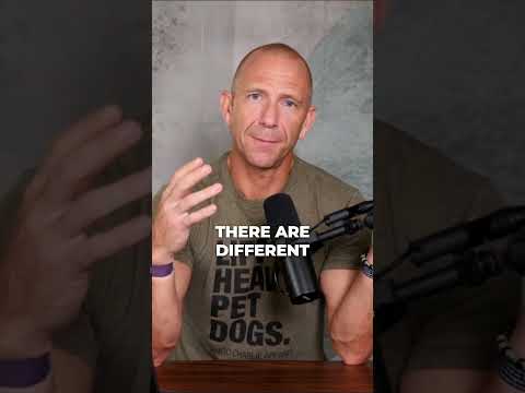 What are peptides? | Dr. Doug Lucas