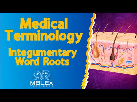 Medical Terminology - Integumentary Word Roots