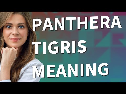 Panthera tigris | meaning of Panthera tigris