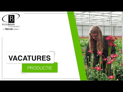 Vacature Alert | Productiemedewerkers