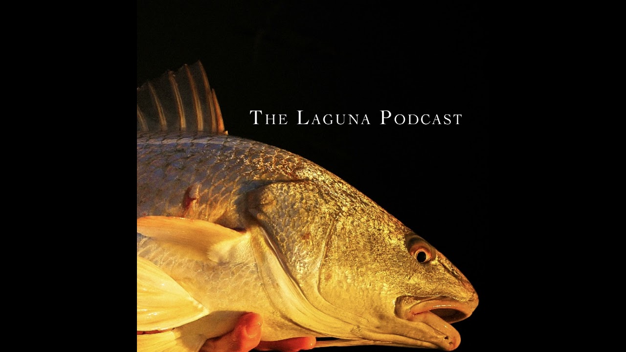 #80 Kevin Townsend - The KT Diaries