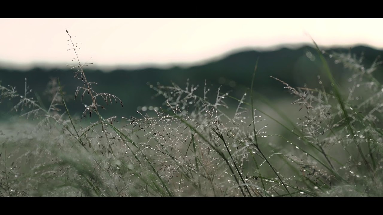 Irene & Tieshar's PREWEDDING