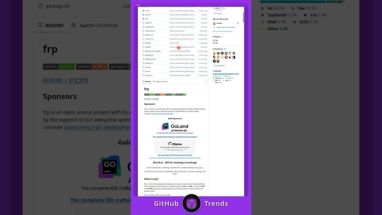 This Reverse Proxy Tool Has 100k GitHub Stars for a Reason #programming #opensource