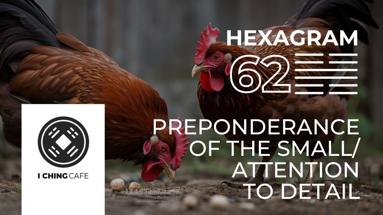 I Ching Deep Dive: Hexagram 62 / Preponderance of the Small or Attention to Detail