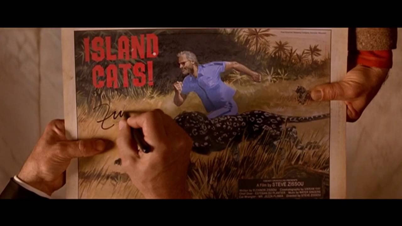 Wes Anderson From Above (Reference Video)