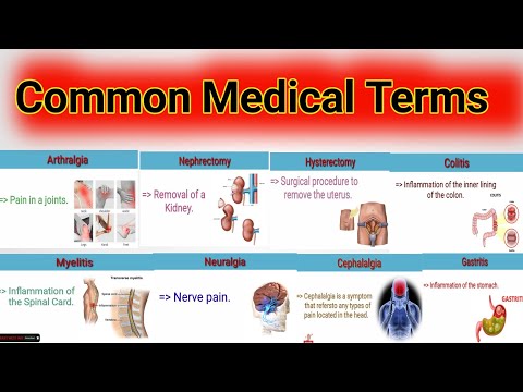 Common Medical Terms // Medical Terminology // Part (2).