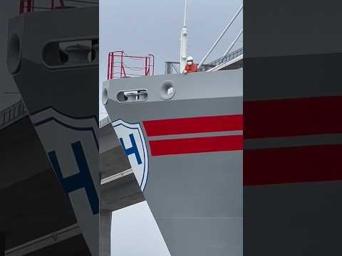 WAN HAI Container Ship in Long Beach
