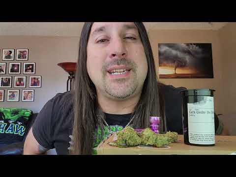 Dan's 420 Chronicles - Cats Under The Stars / Weed Review 10/21/22