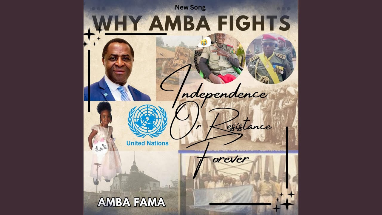 Why Amba Fights