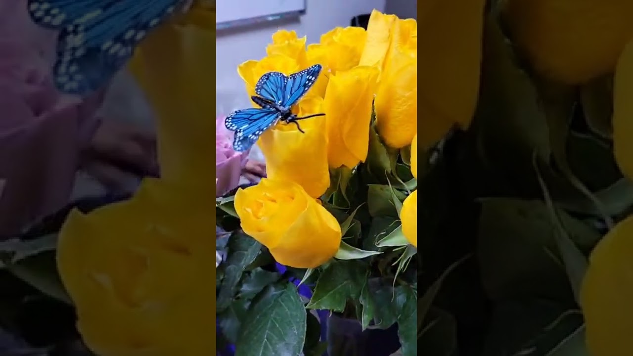 Live Flower Arrangement Tutorial For Mother's Day With Our Mom Box