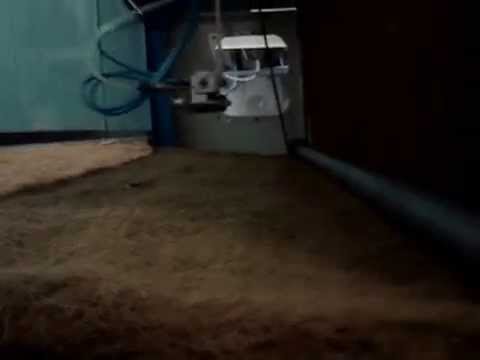 Coir Needle Felt Machine at Best Price in India