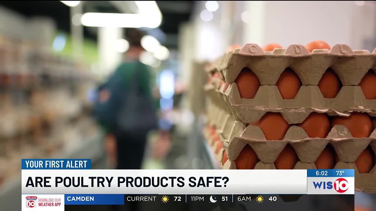 Experts answer questions surrounding eggs, poultry safety