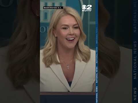 'Boys will be boys: Karoline Leavitt responds about Elon Musk, Navarro scuffle