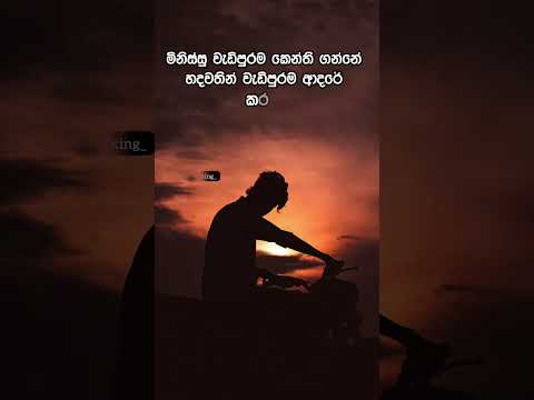 sera wadan sinhala wadan tik tok Watch HD Mp4 Videos Download Free