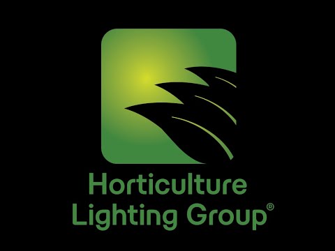 HLG Lamps at Flow Gardens Indoor Cultivation