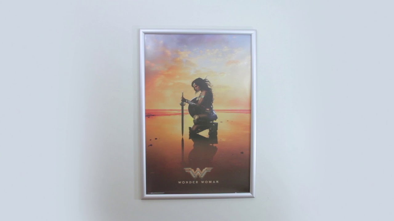 Silver SnapeZo® frame