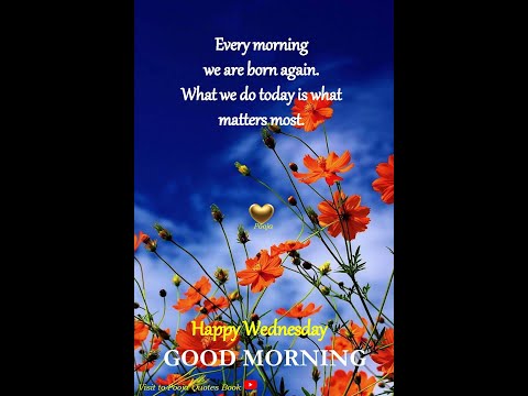 WEDNESDAY QUOTES /GOOD MORNING IMAGES /WHATSAPP STATUS/WHATSAPP DP PHOTOS/BEAUTIFUL IMAGES