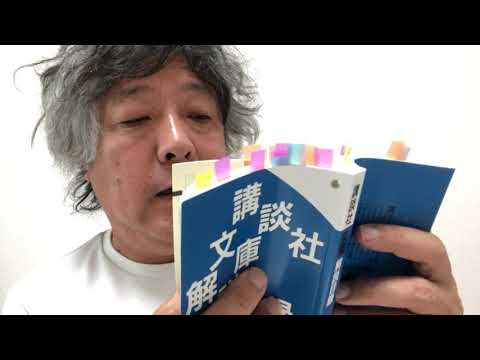 The wonderful Bunko publishing culture