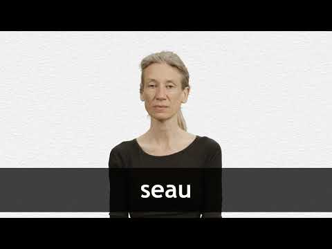 How to pronounce SEAU in French