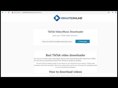 Best TikTok Video downloader
