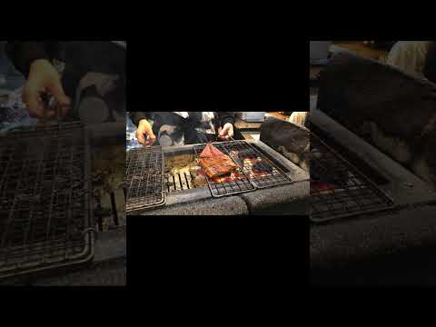 What is Unagi?
