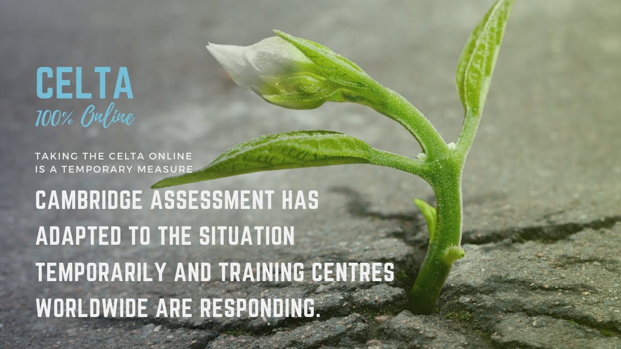 About Taking a CELTA Course Online