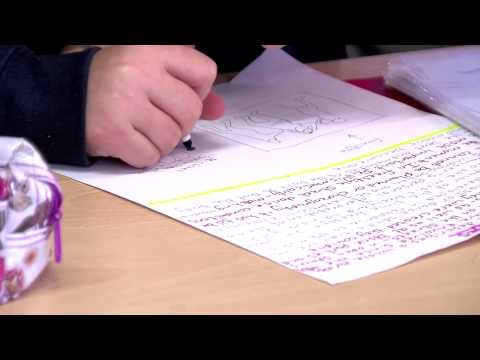 Committee's Inquiry into the Education Training Inspectorate and the School Improvement Process