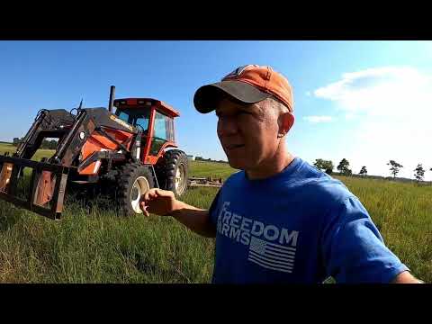 Why do farmers bush hog? @bushhog8387