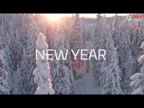 Season Teaser | QRILLPAWS 2021