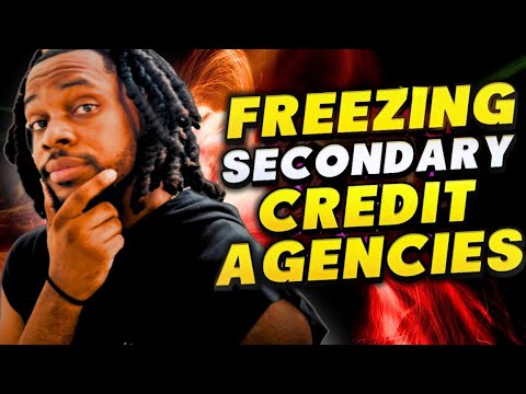 Freeze LexisNexis And These Credit Bureaus To Get MORE REMOVALS!! (2025)