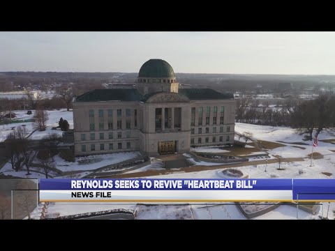 Iowa Gov. Kim Reynolds Seeks To Revive "Heartbeat Bill" & Re-Hearing Of Planned Parenthood Case