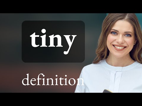 Tiny | definition of TINY