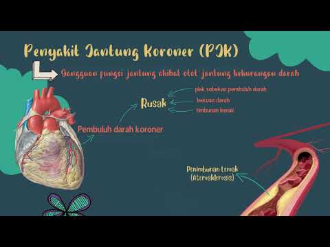 Apa Itu Penyakit Jantung Koroner?