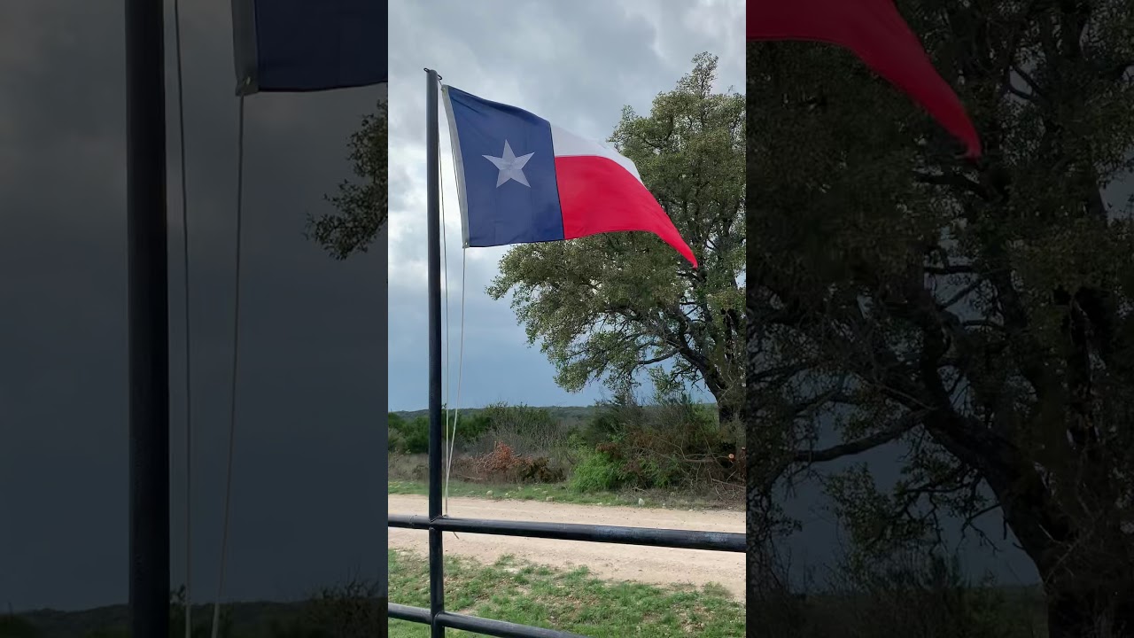 Texas Pledge