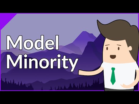 Model Minority Myth (Explained)