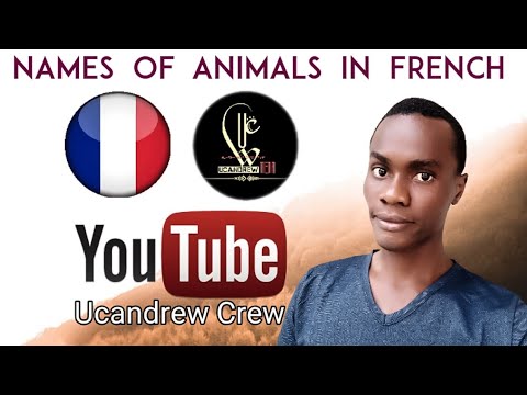 Names of Animals in French Language. (Mammals, Birds, Insects. Learn how they are called.