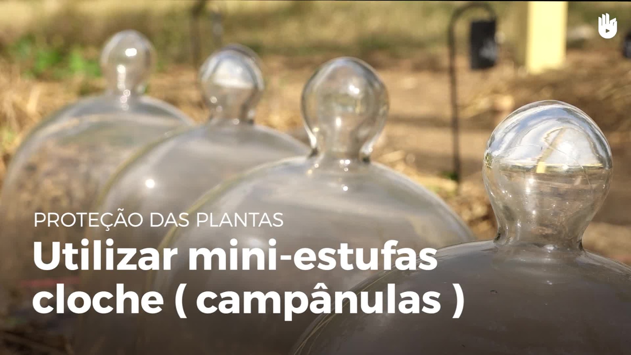 Mini-estufas - Cultivo orgânico | Sikana